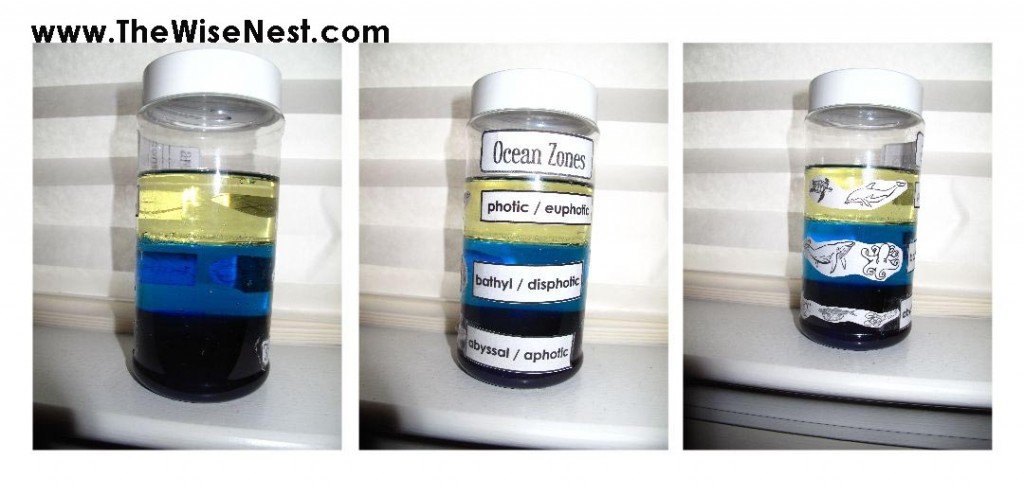 Ocean Zones Project - The Wise Nest