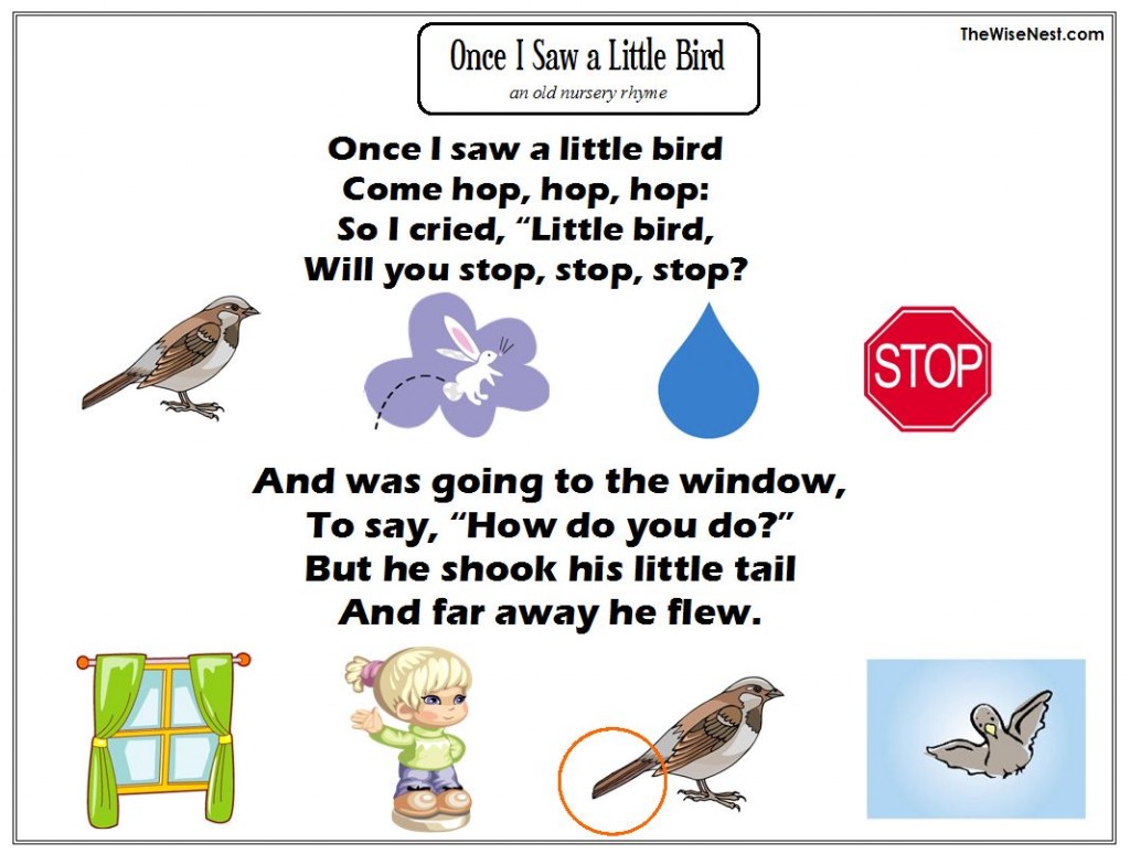 little bird 1 - The Wise Nest